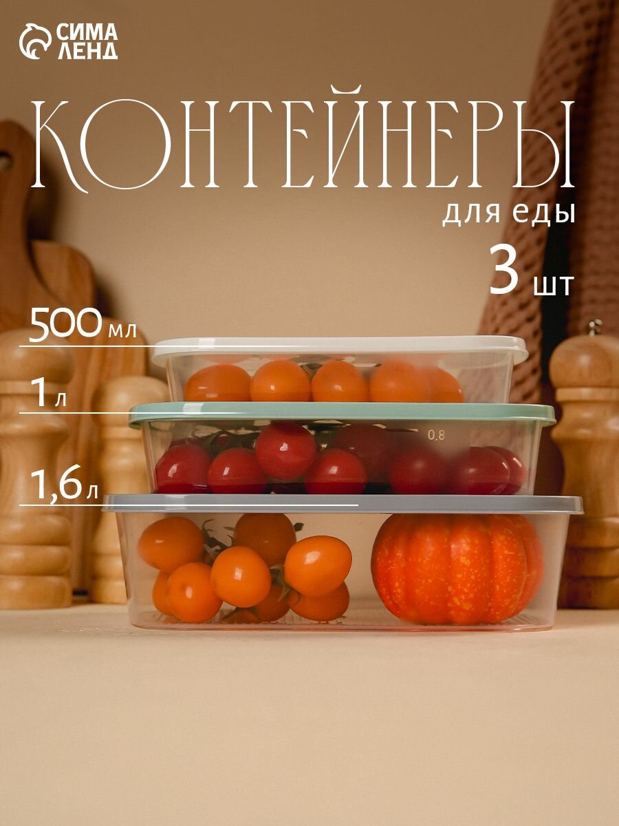 Набор пищевых контейнеров, 3 шт: 500 мл, 1 л, 1.6 л, прозрачный