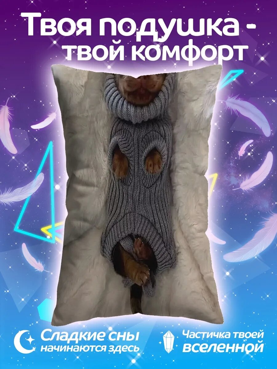 Подушка дакимакура Чихуахуа в свитере