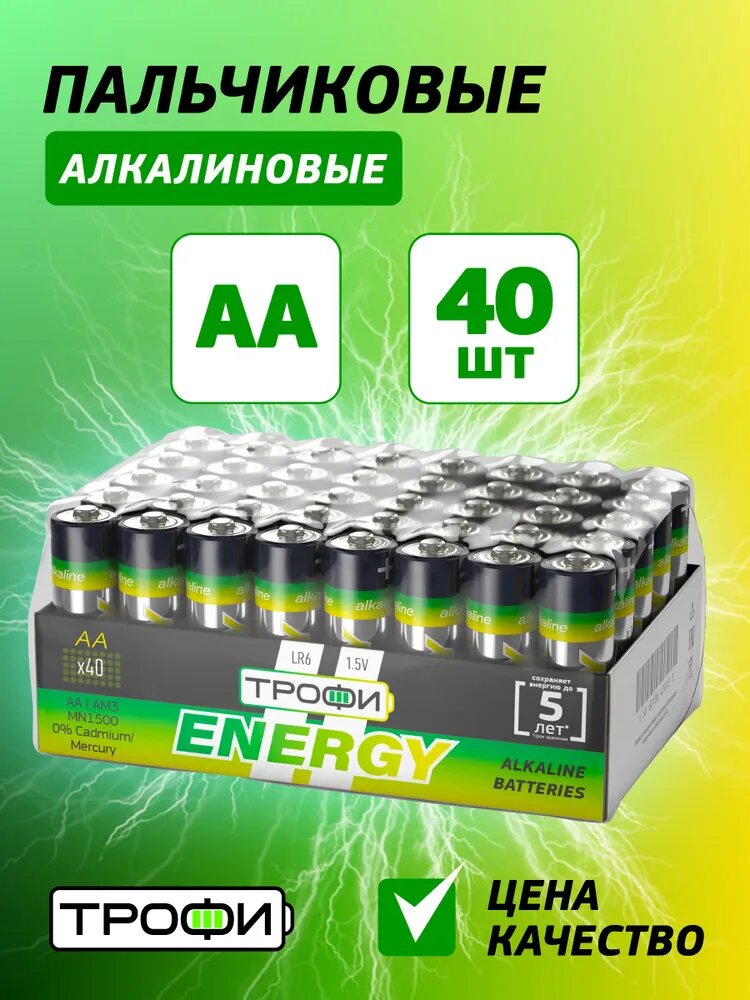 Батарейки пальчиковые АА Трофи LR6-40 bulk ENERGY Alkaline, 40 штук