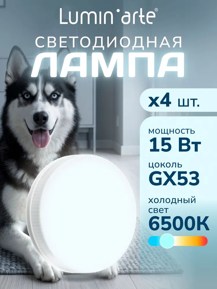 Светодиодная лампа Холодный свет LUMIN'ARTE LSTD-GX-15W6KGX53 15Вт 6500K GX53 (4 шт)