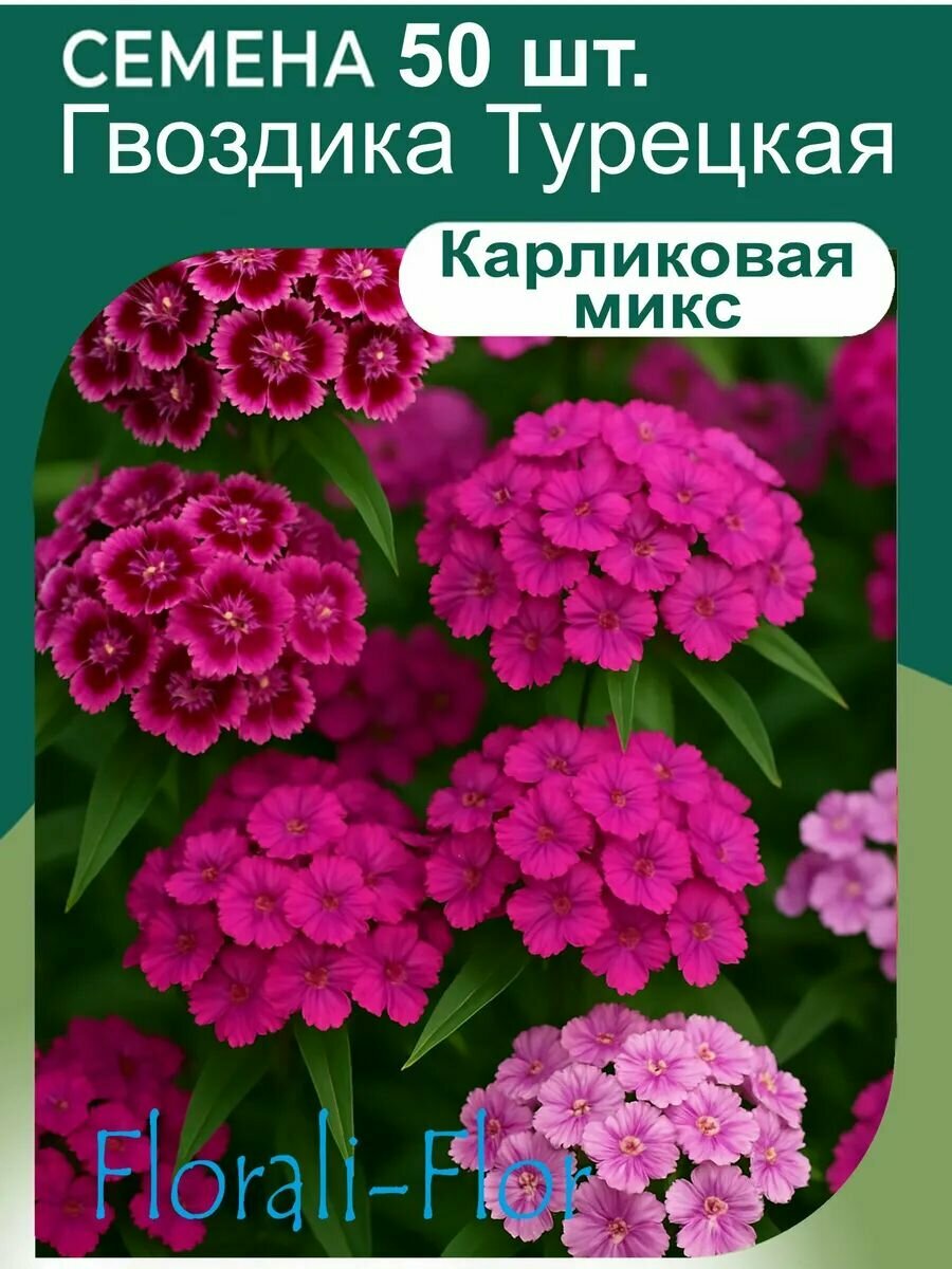 Семена Гвоздики Турецкой для посадки цветов