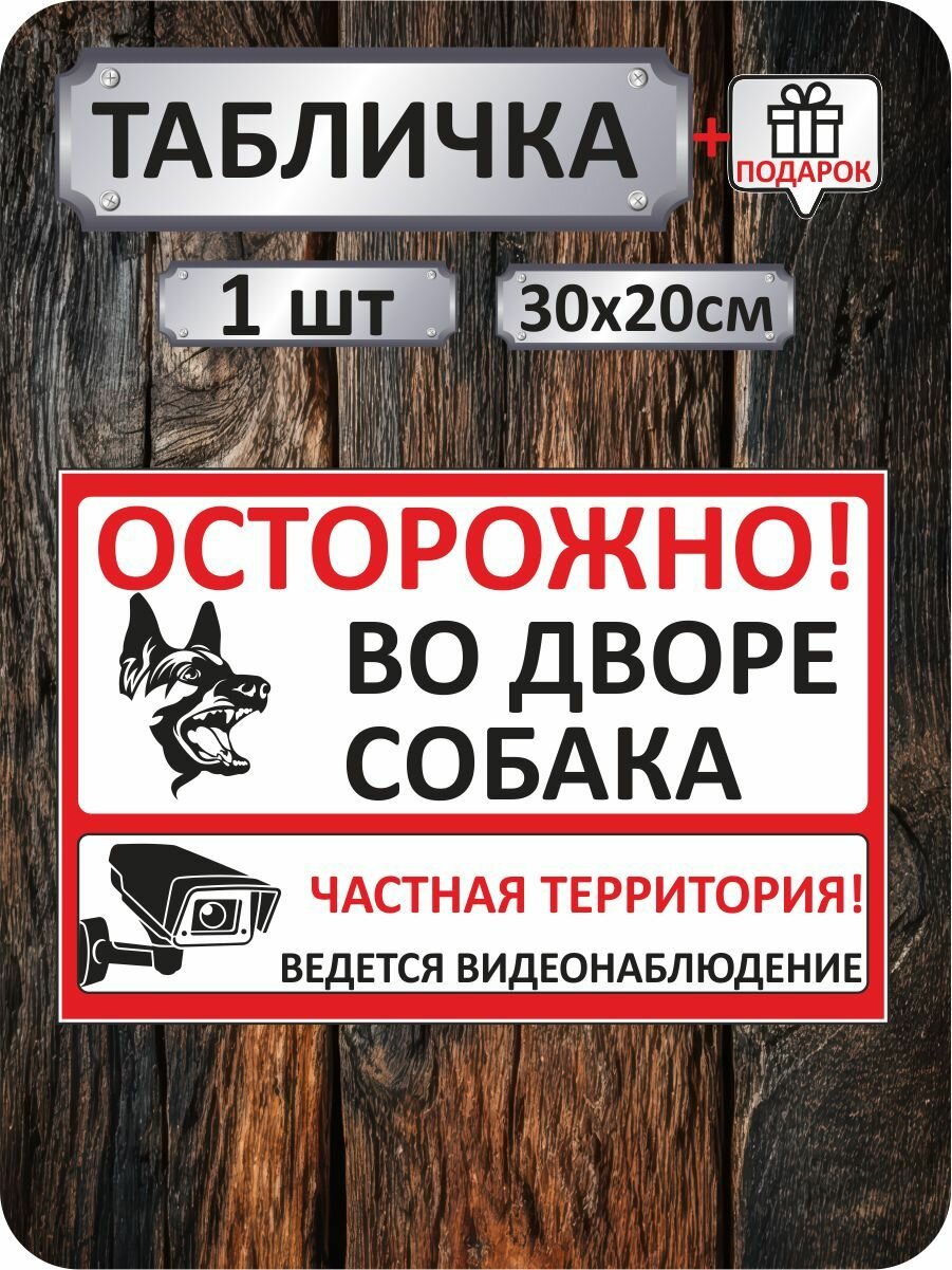Табличка ПВХ, Осторожно злая собака, с вмдеонаблюдением20х30см-1 шт.