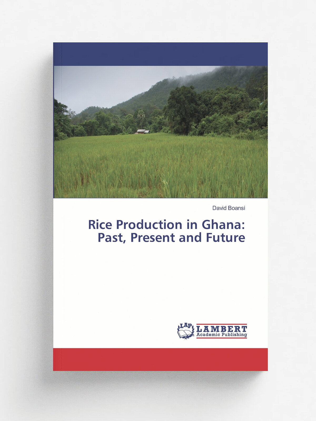 Rice Production in Ghana. Past, Present and Future