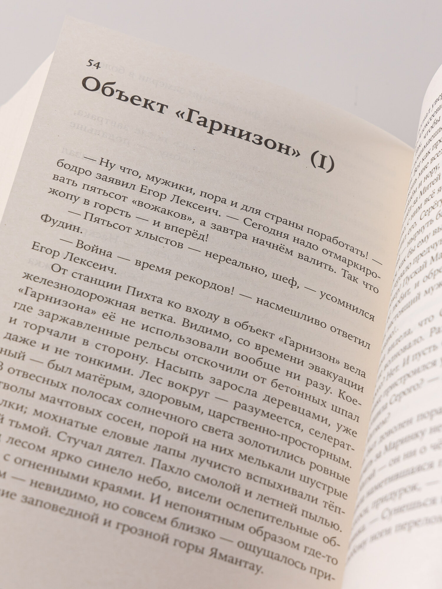 Книга Иванов А. В. "Вегетация" от Альпина. Проза, 656 стр, 18+, 2026 г, — фото 1