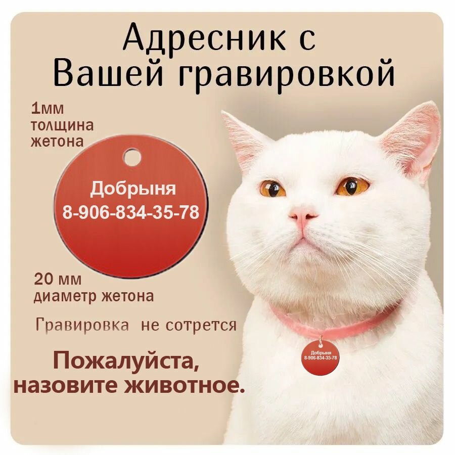 Адресник для собак и кошек с гравировкой (металл), красный, бирка для животных, с адресом металлическая бирка красный адресник гравировка для кошек для собак