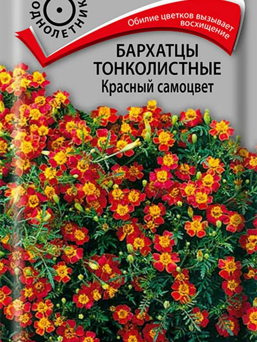 Бархатцы Красный самоцвет тонколистные 0,1 г, Семена Поиск