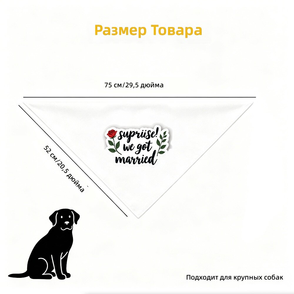 Повязка 2D для кошек и собак с надписью «Мы поженились», розами и эвкалиптом, размер L