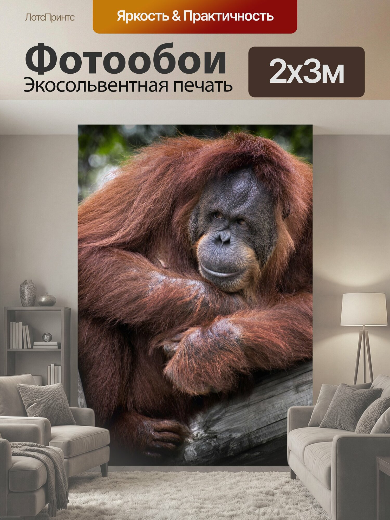 Фотообои "Орангутан, обезьяна, красный" 200x300 см. экосольвентная печать