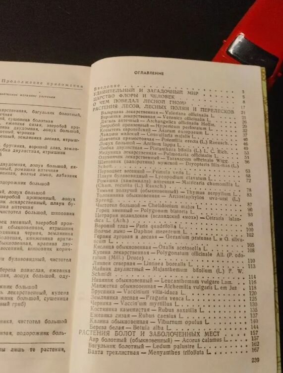 Зеленая аптека — фото 1