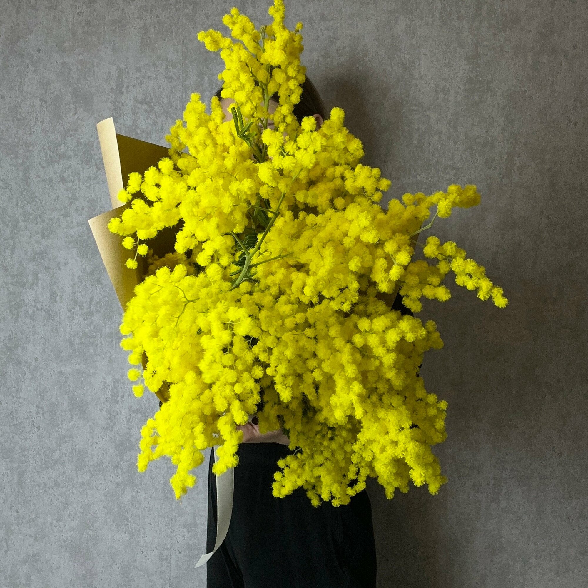 Цветы живые букет из мимозы 9 шт от Sharmonic Fleur