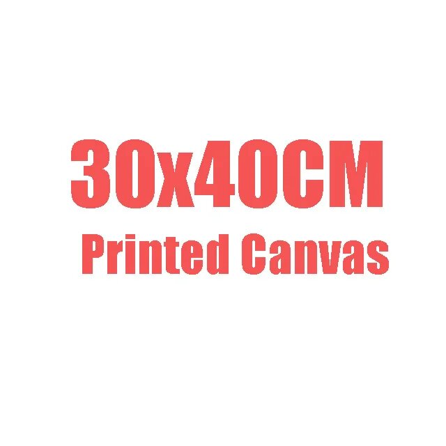 HUACAN Наборы для вышивки крестом 11CT/14CT DMC 30x40, 14CT Printed Canvas