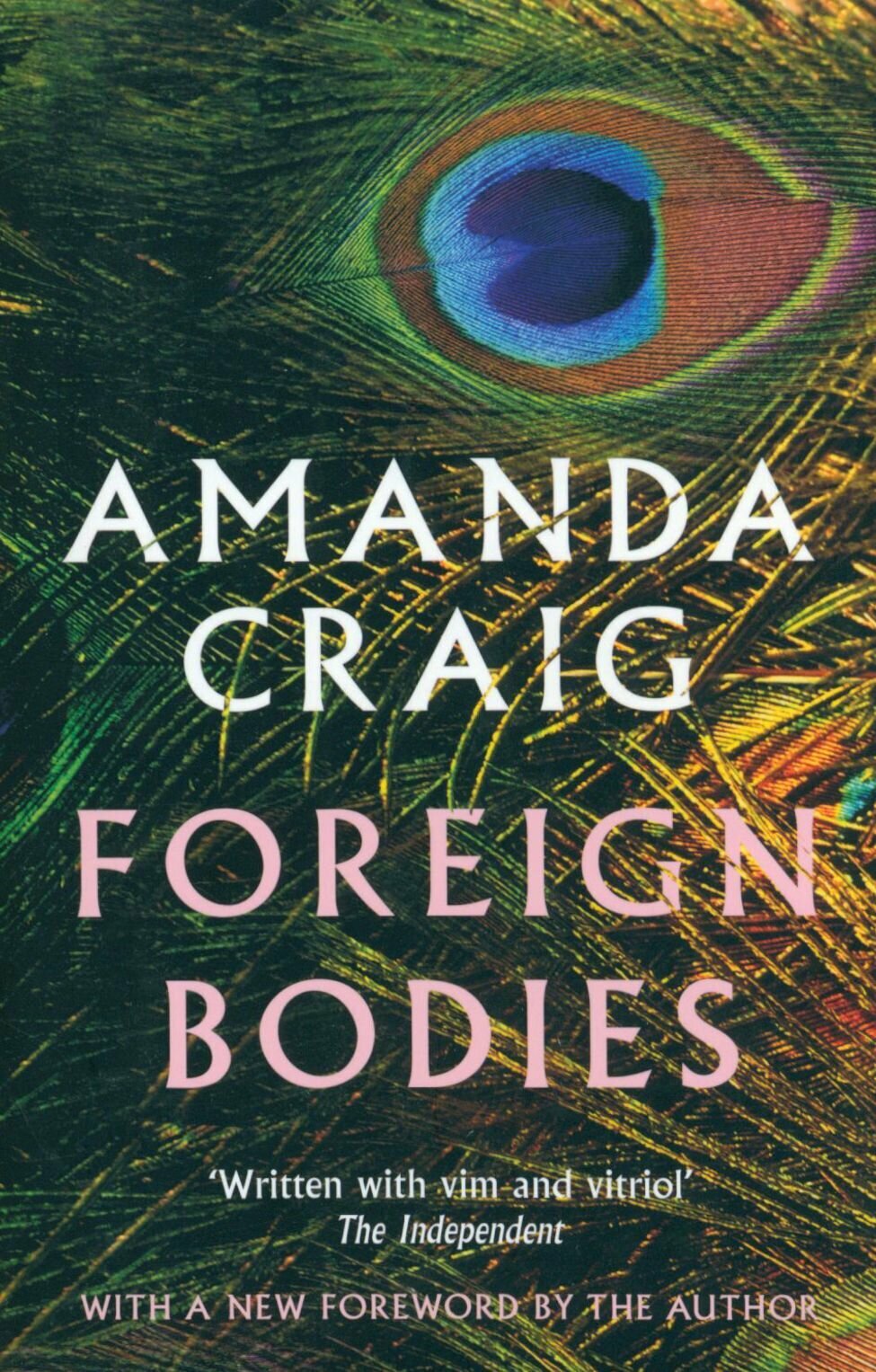 Foreign Bodies / Книга на Английском