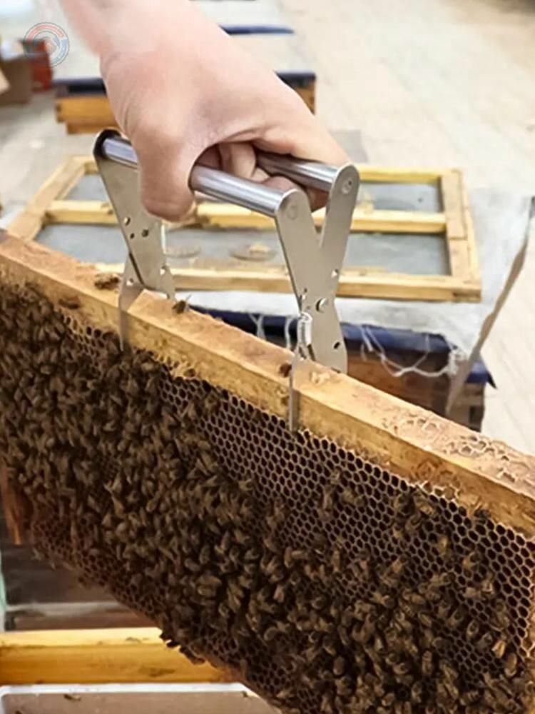 Захват для пчеловодных рамок Краб из нержавеющей стали универсальный зажим для улья надежная фиксация рамок при транспортировке и работе в пасеке
