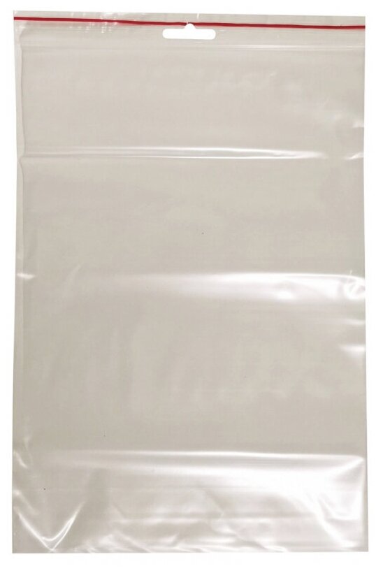Пакет с замком (Zip Lock) с европодвесом 20 х 30 см, 60 мкм, 100 шт/уп 1269625