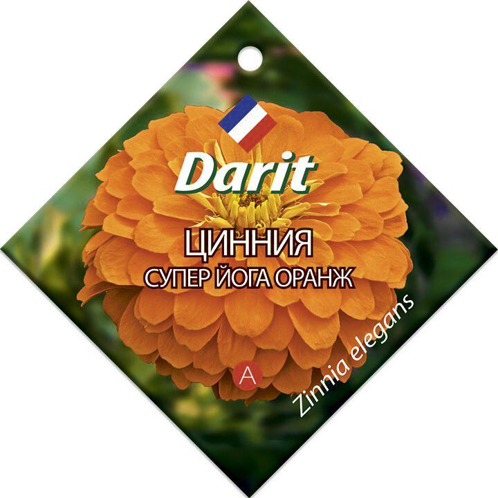 Darit цинния Супер Йога оранж 0,5г георгиноцветковая