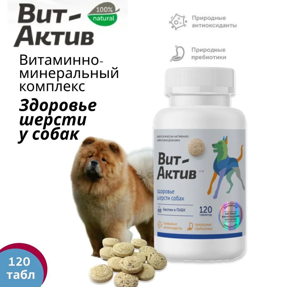 Вит-Актив С-Ш здоровье шерсти собак (120таб)
