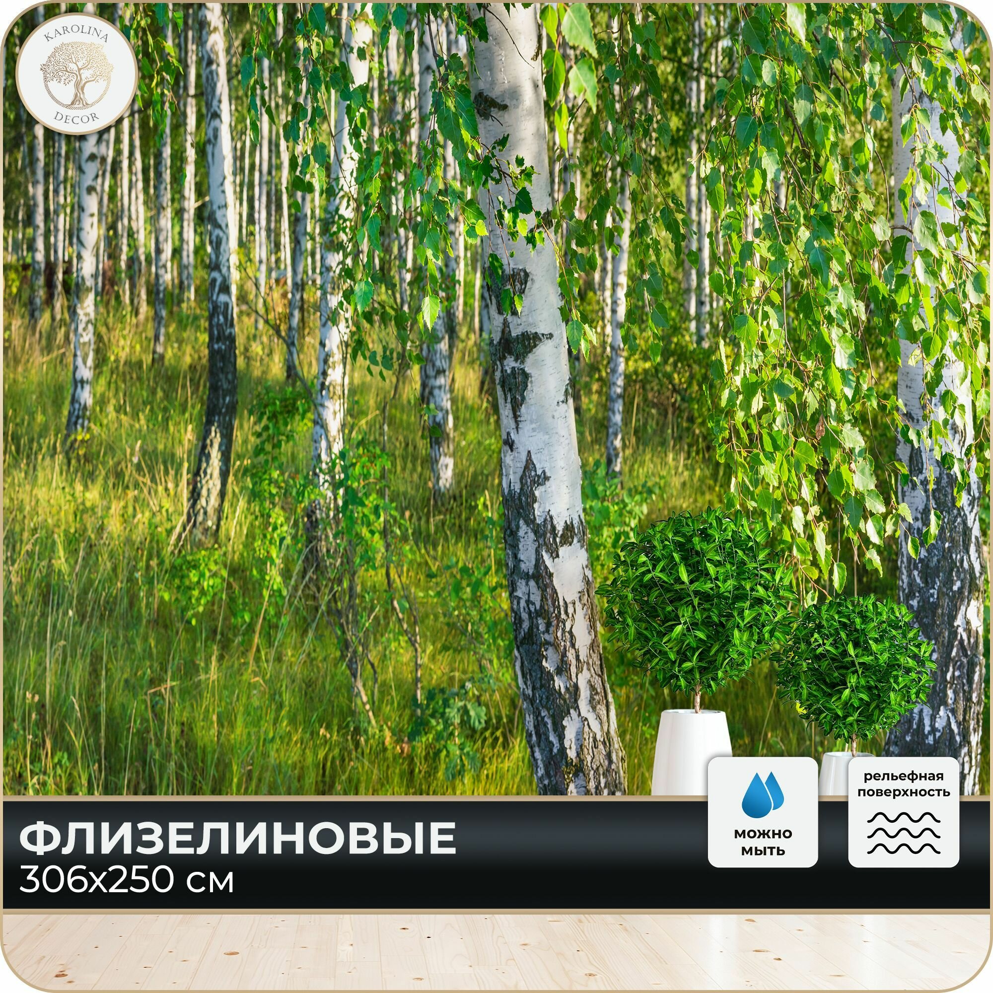 Фотообои 3D Природа Березы в спальню в гостиную на кухню 300х250