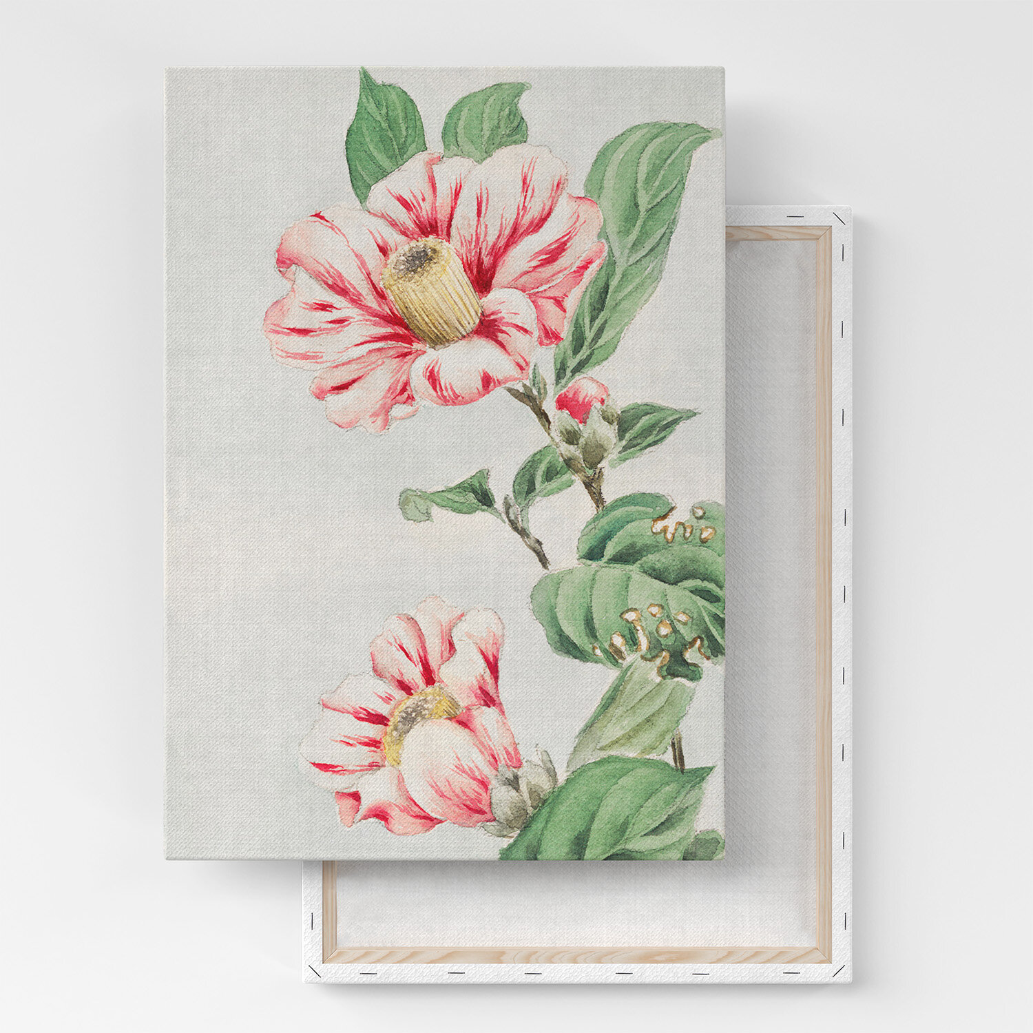 Картина на холсте, репродукция / Мегата Морикага - Tsubaki camelia / Размер 40 x 53 см