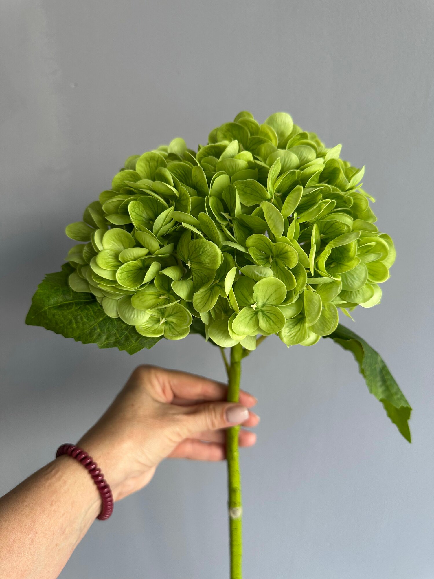 Гортензия зеленая 57 см, силикон