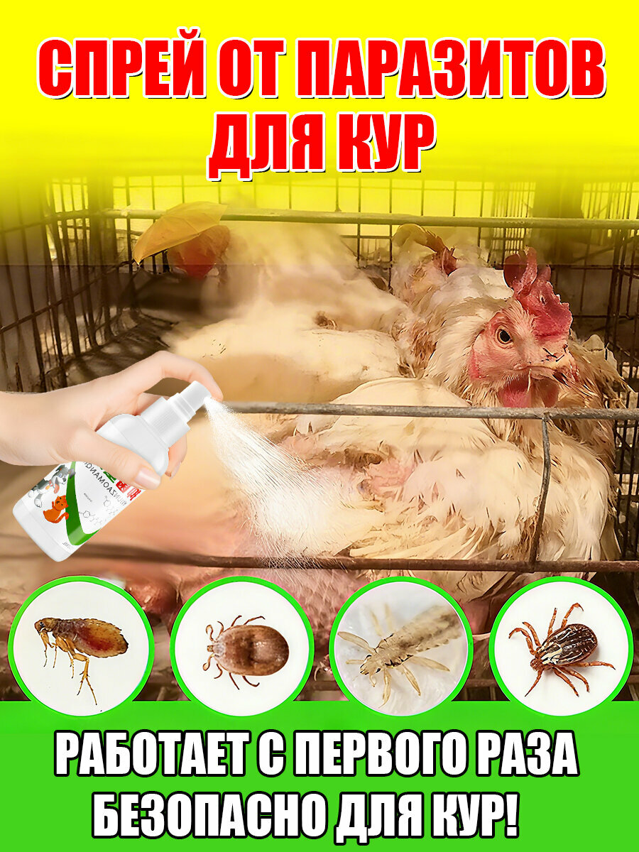 Спрей для кур от пероедов и блох