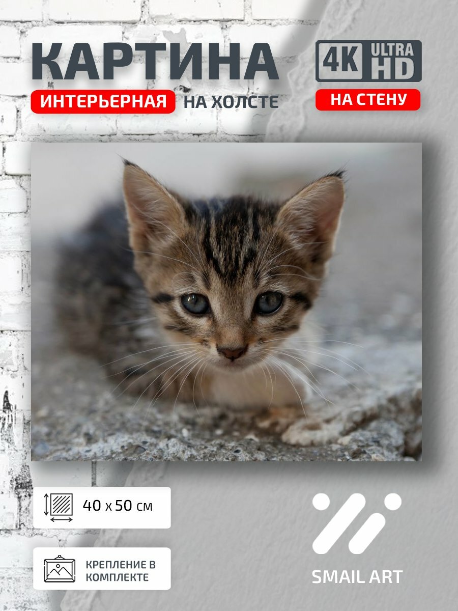 Картина на холсте интерьерная 40 на 50 на стену Котенок Landscape для кафе пейзаж интерьер