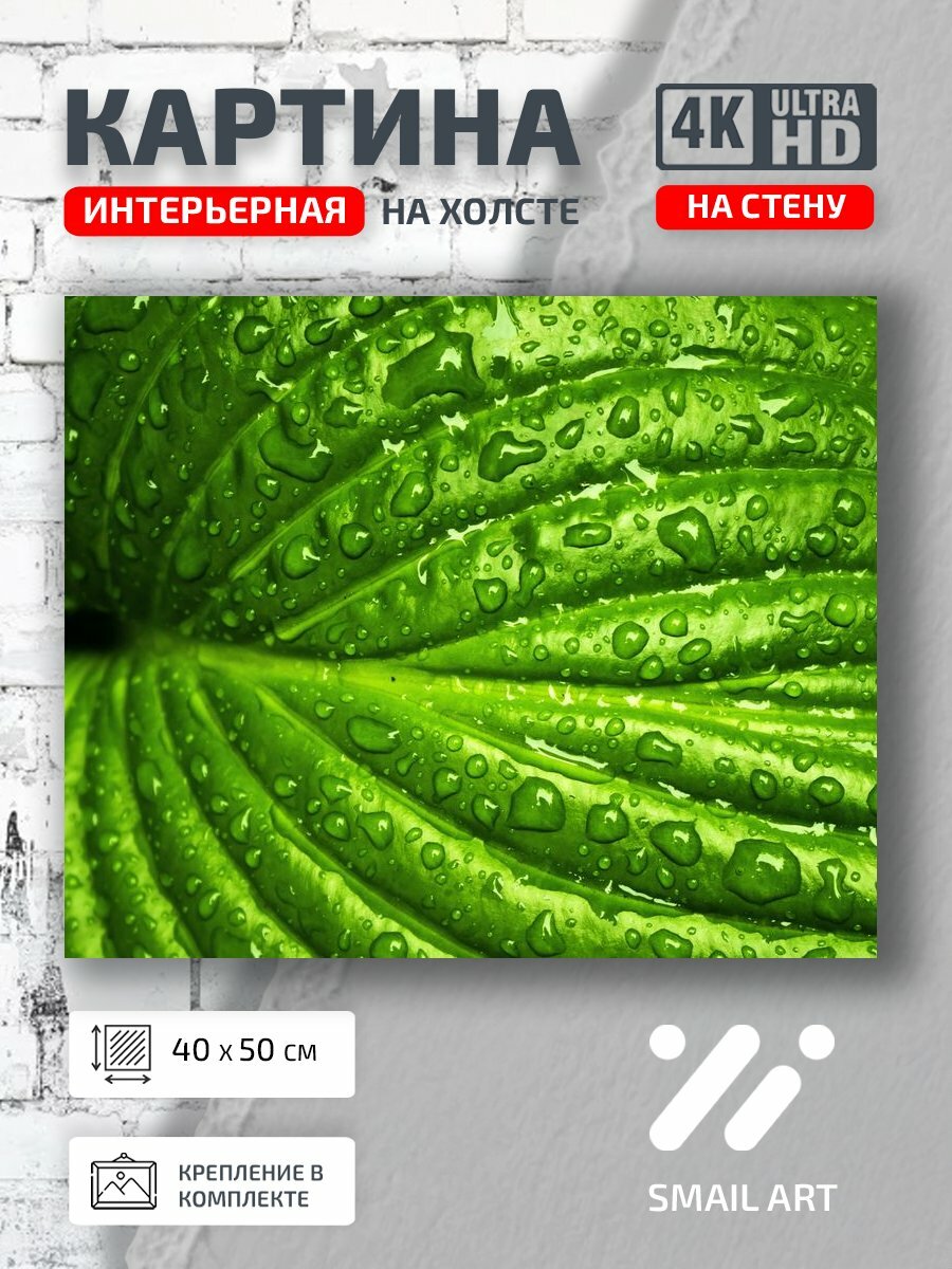 Картина на холсте интерьерная 40 на 50 на стену Капли Macro для спальни макро интерьер