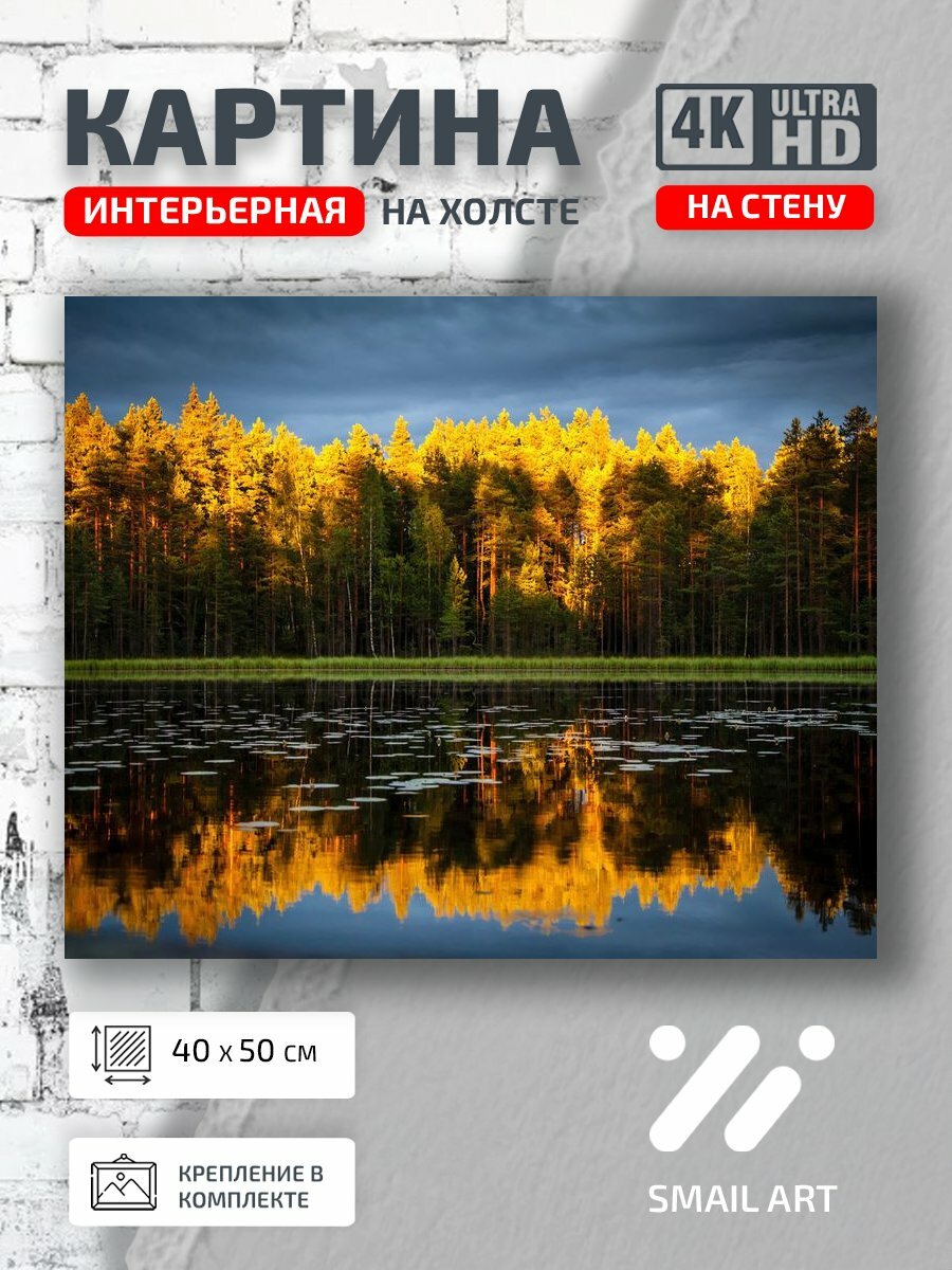 Картина на холсте интерьерная 40 на 50 на стену Свет Landscape для офиса пейзаж интерьер