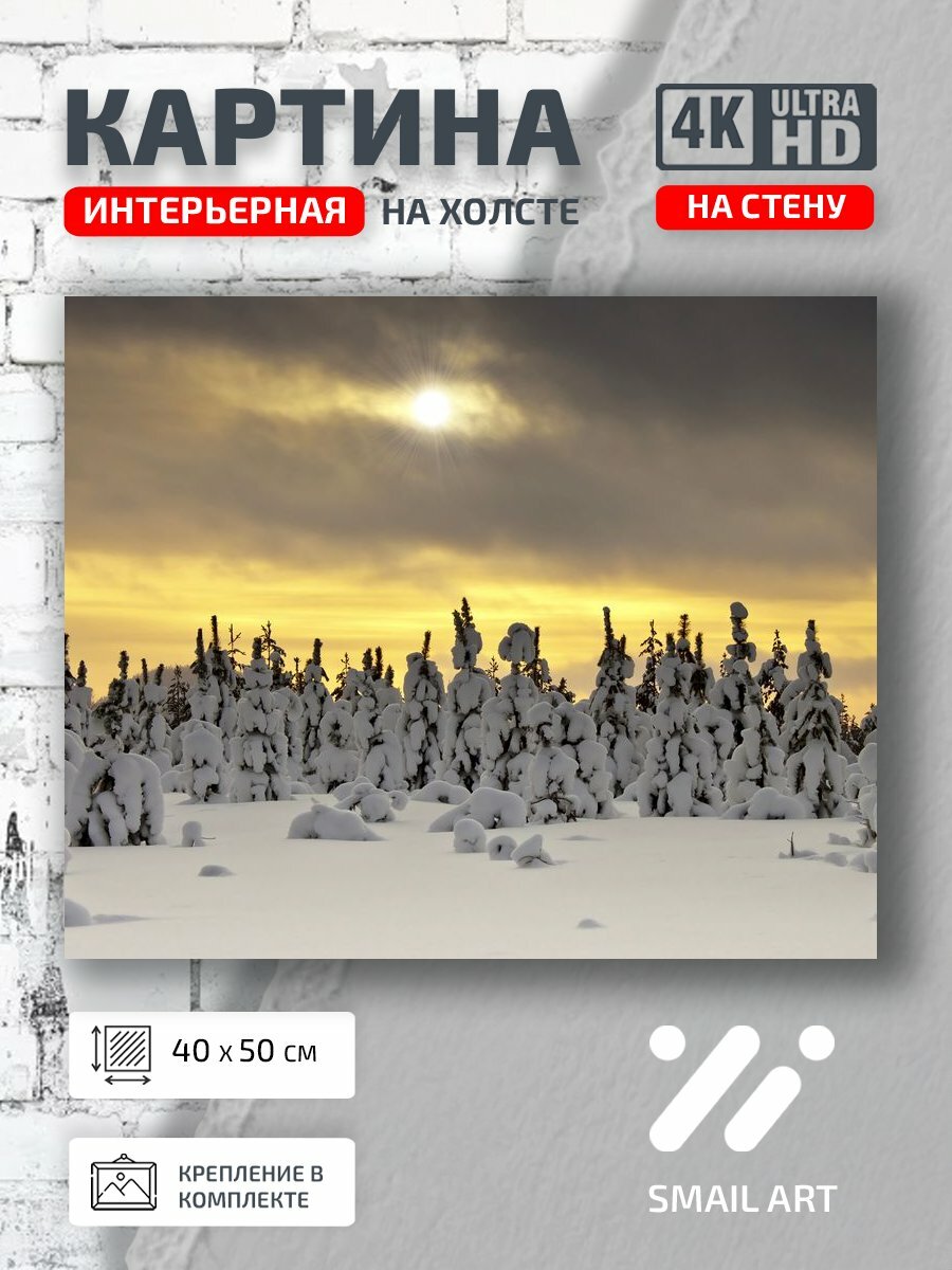 Картина на холсте интерьерная 40 на 50 на стену Зима Landscape для офиса пейзаж интерьер