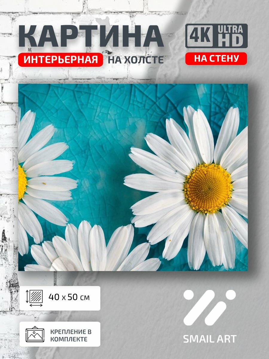 Картина на холсте интерьерная 40 на 50 на стену Ромашки Landscape для офиса пейзаж интерьер