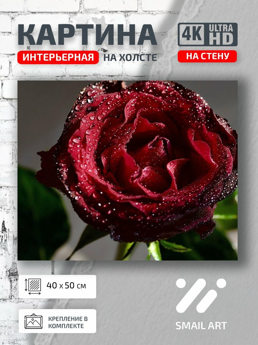 Картина на холсте интерьерная 40 на 50 на стену Капли Mood для гостиной атмосфера интерьер