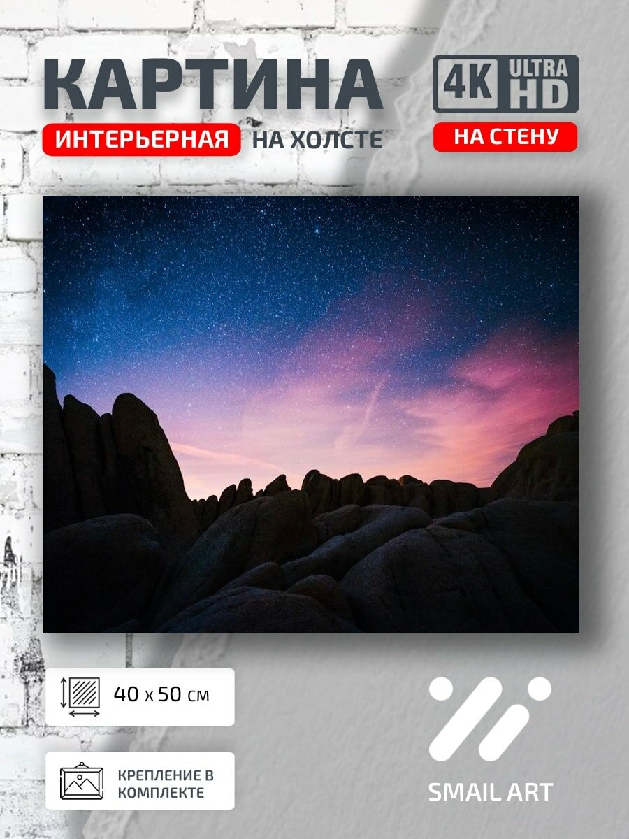 Картина на холсте интерьерная 40 на 50 на стену Джошуа Три для студии атмосфера