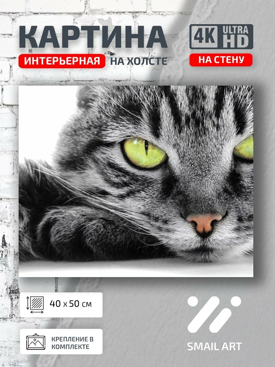 Картина на холсте интерьерная 40 на 50 на стену Животные cat для кафе animal style