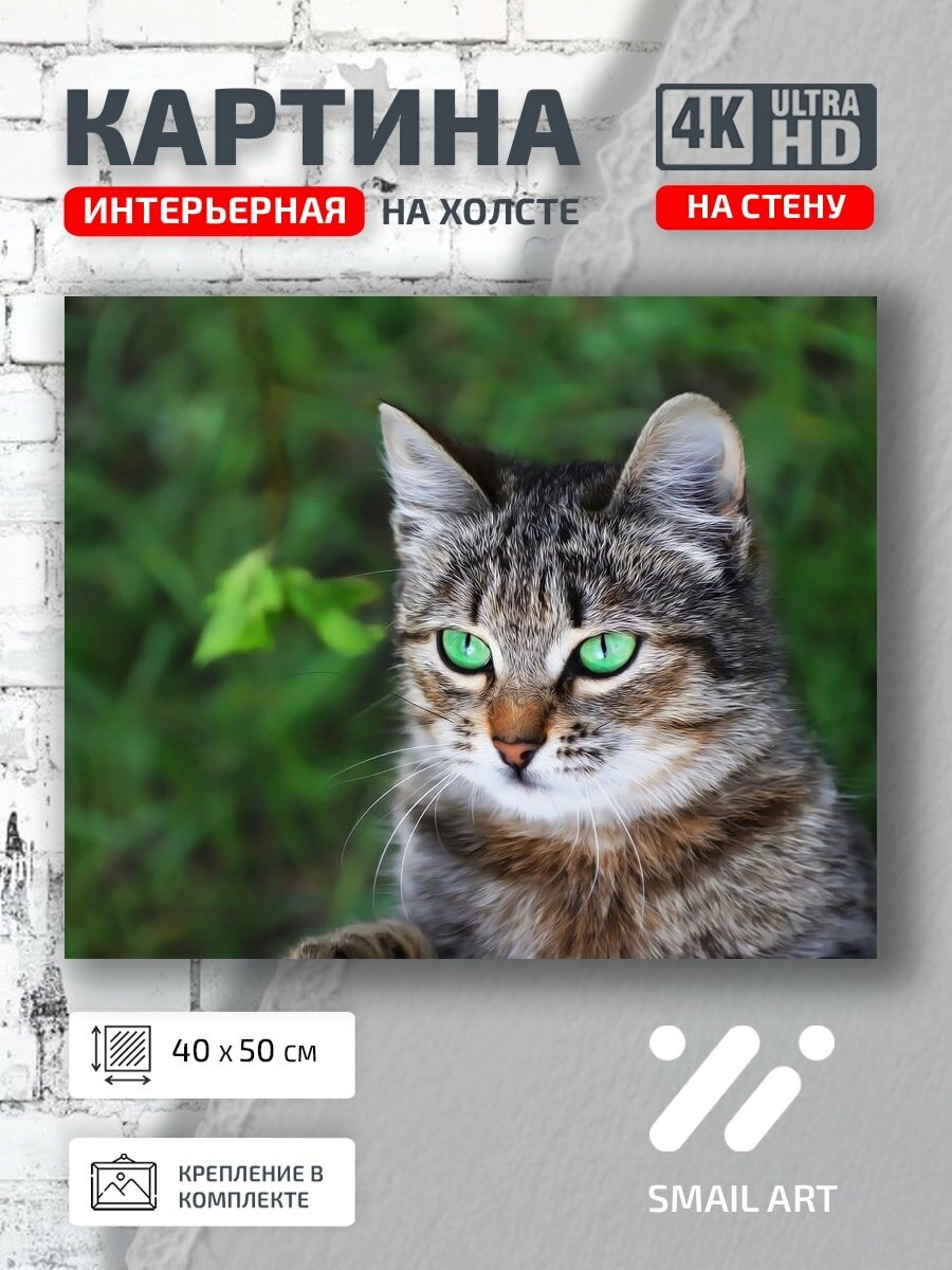 Картина на холсте интерьерная 40 на 50 на стену Животные котейка для гостиной атмосфера