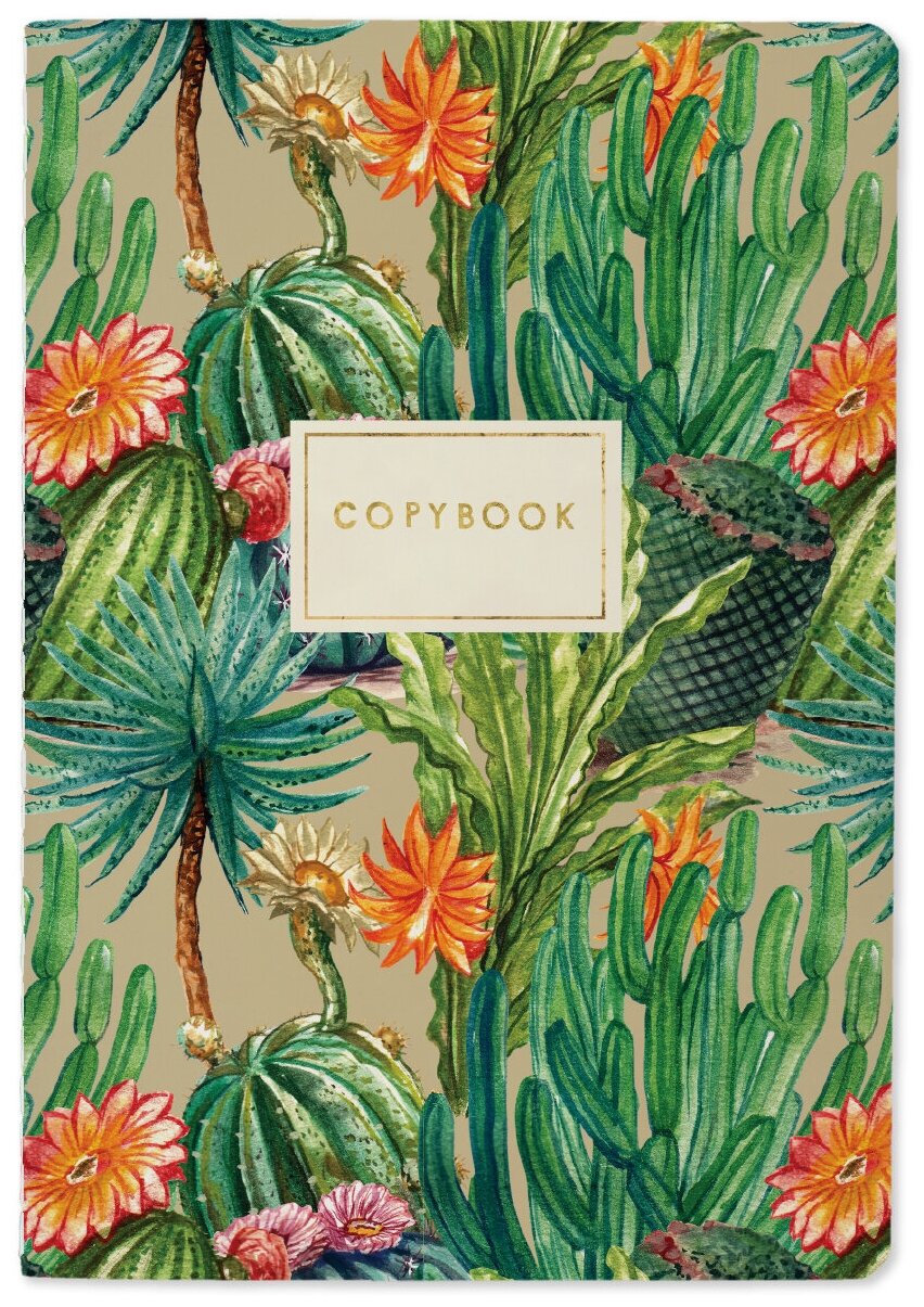 Тетрадь А5, Bruno Visconti кактусовый РАЙ 40л. клетка 7-40-001/29,2шт.