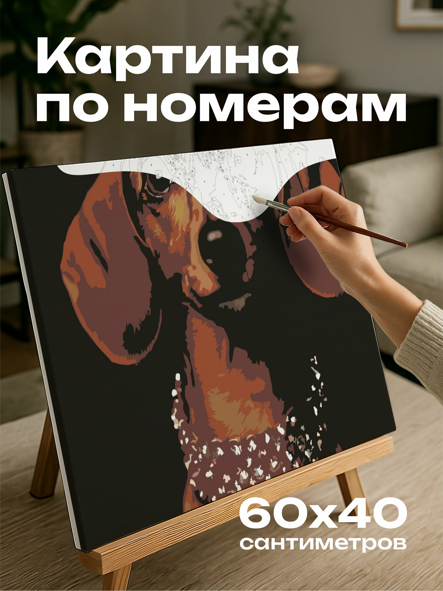 Картина по номерам 60x40 см, Такса, ошейник, кристаллы Swarovski, высокое разрешение, студия, мягкое освещение