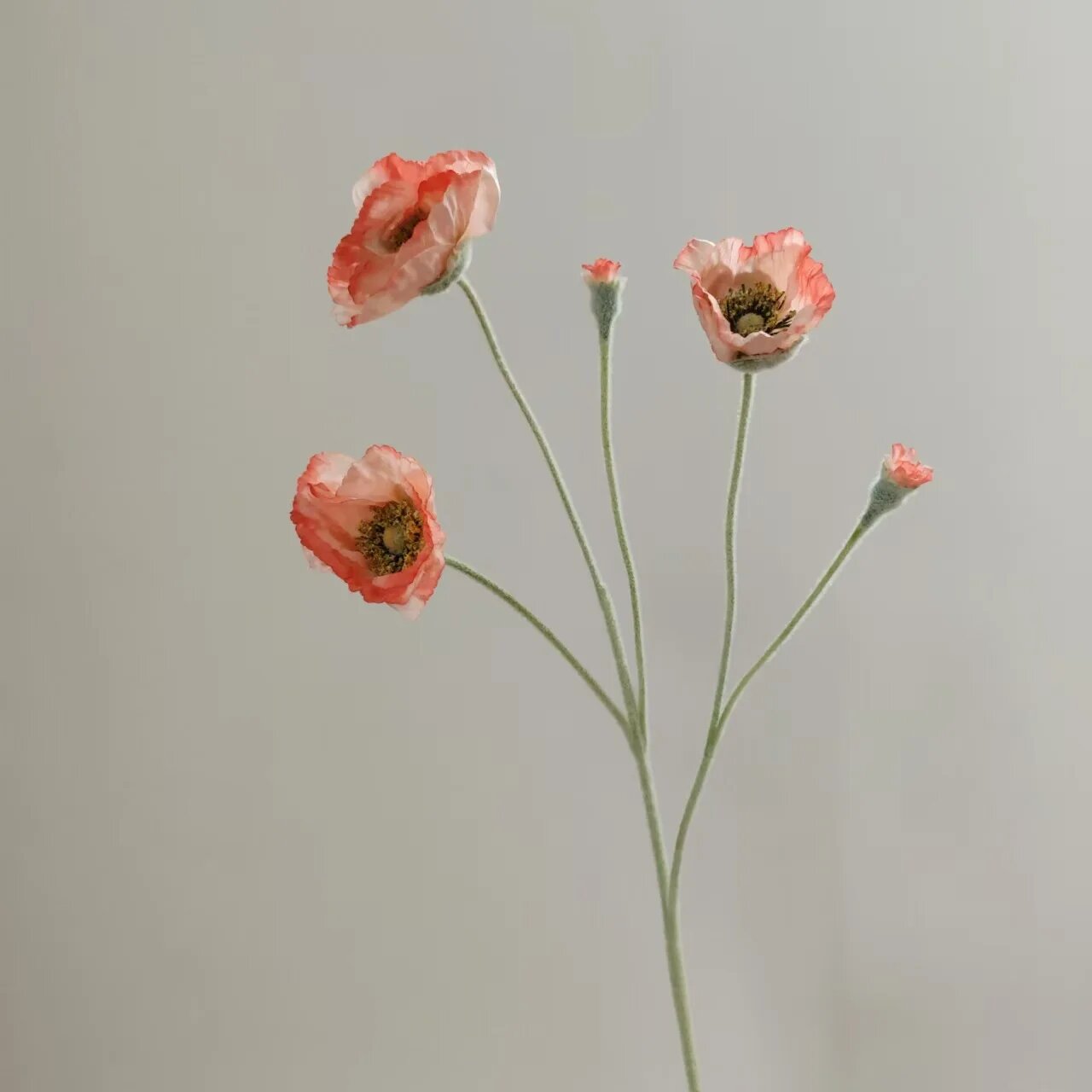 Искусственные цветы мака шелковые 65 см Gradient Pink