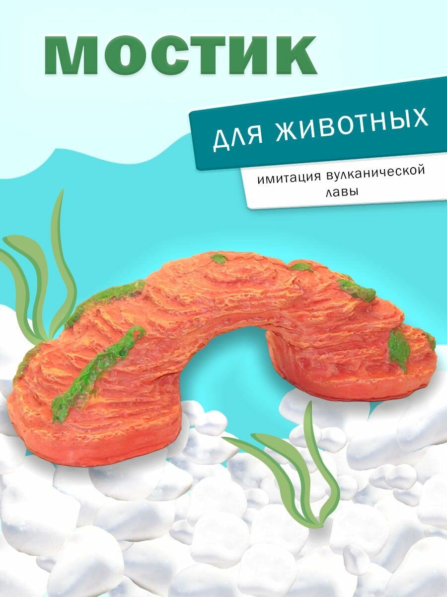 Мостик для аквариума и террариума: рыбкам и черепахам, укрытие для пауков и ящериц 1 шт