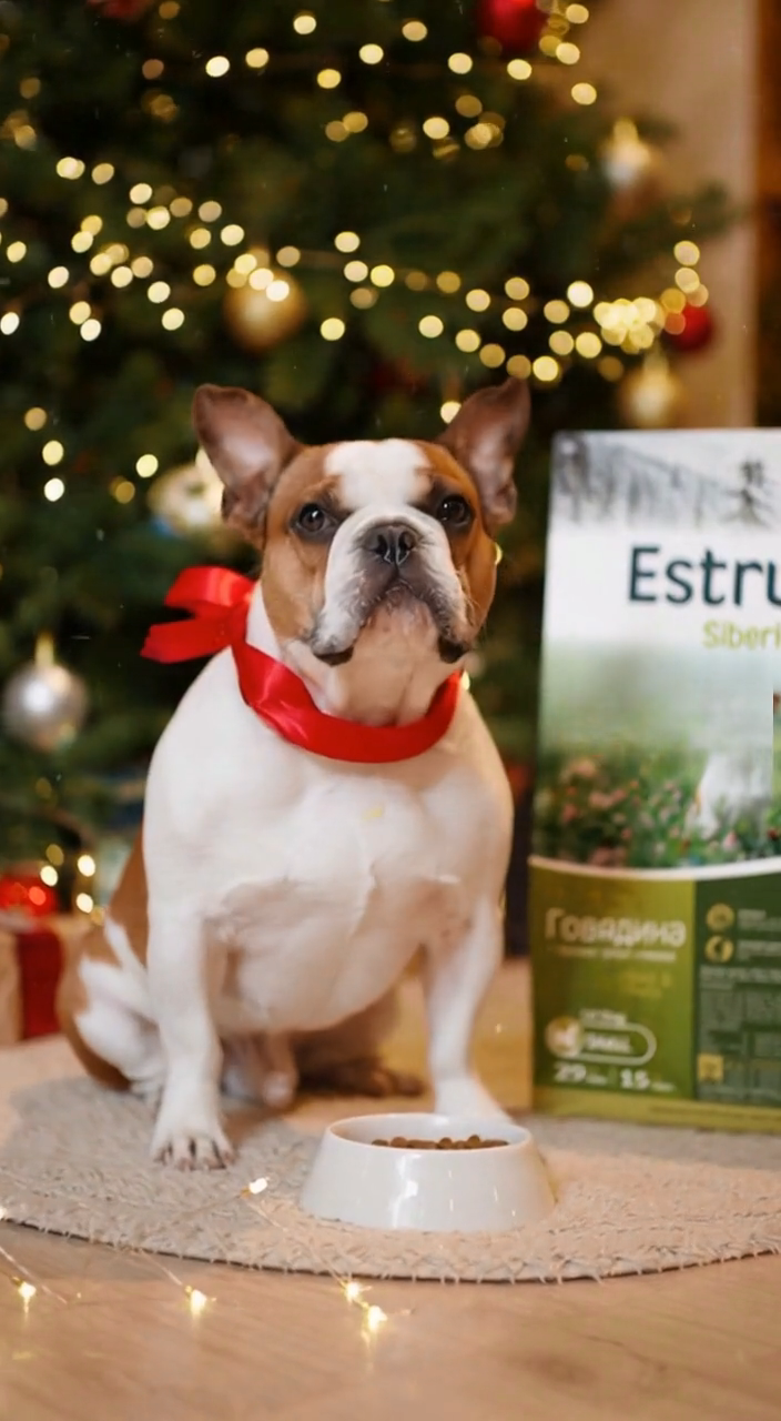 Сухой корм Estrudo Siberia (Говядина + лесные травы) для взрослых собак мелких пород, 1 кг