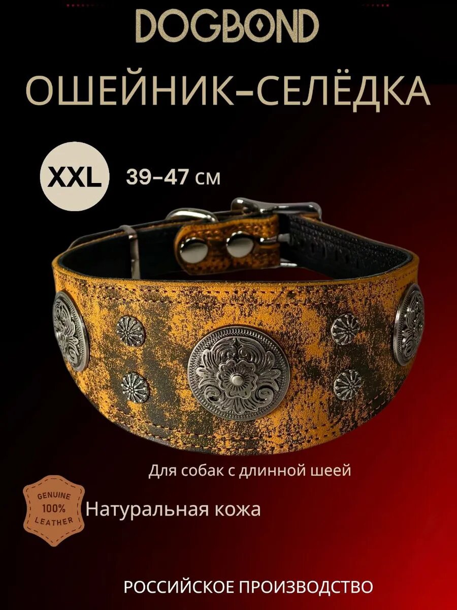 Ошейник-селедка Dogbond для грейхаундов и борзых собак