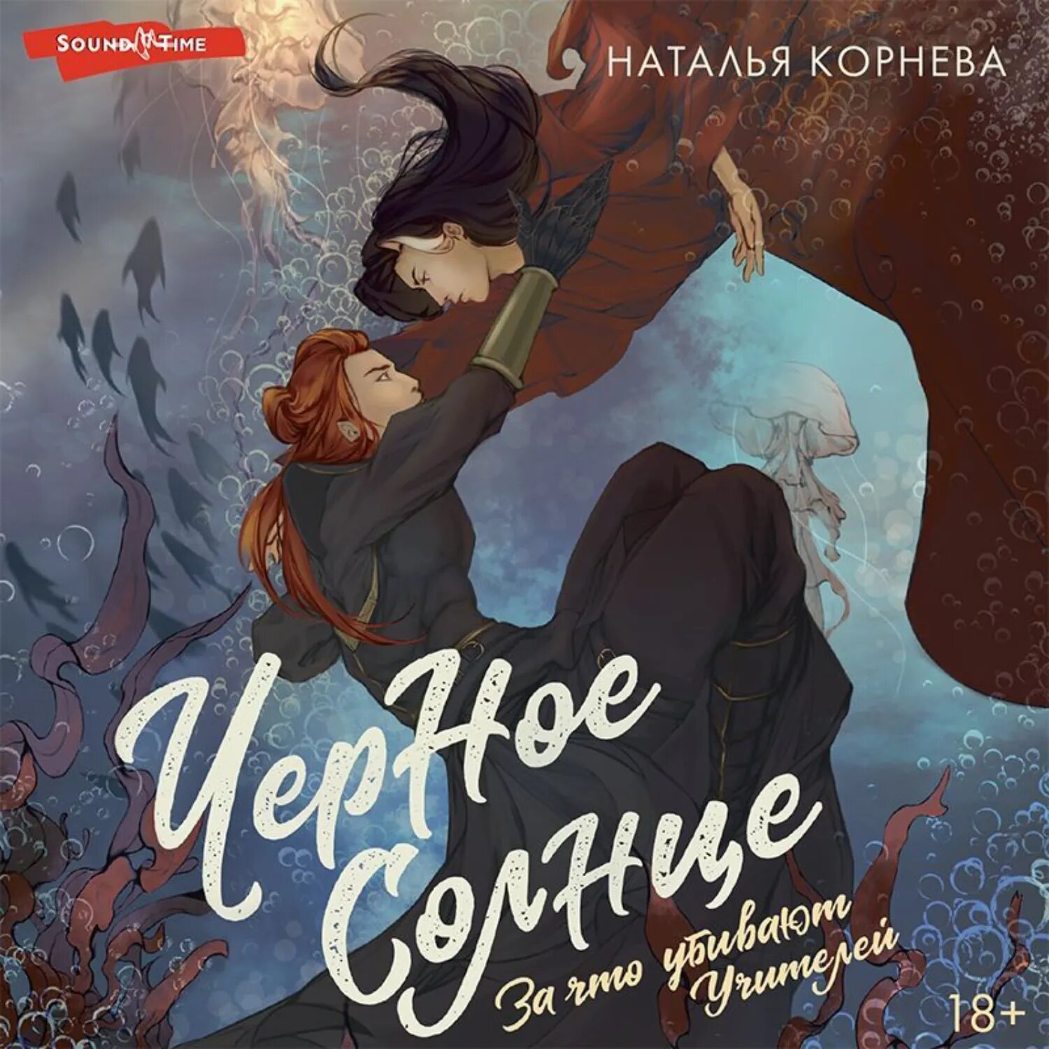 Черное Солнце. За что убивают Учителей [Аудиокнига]
