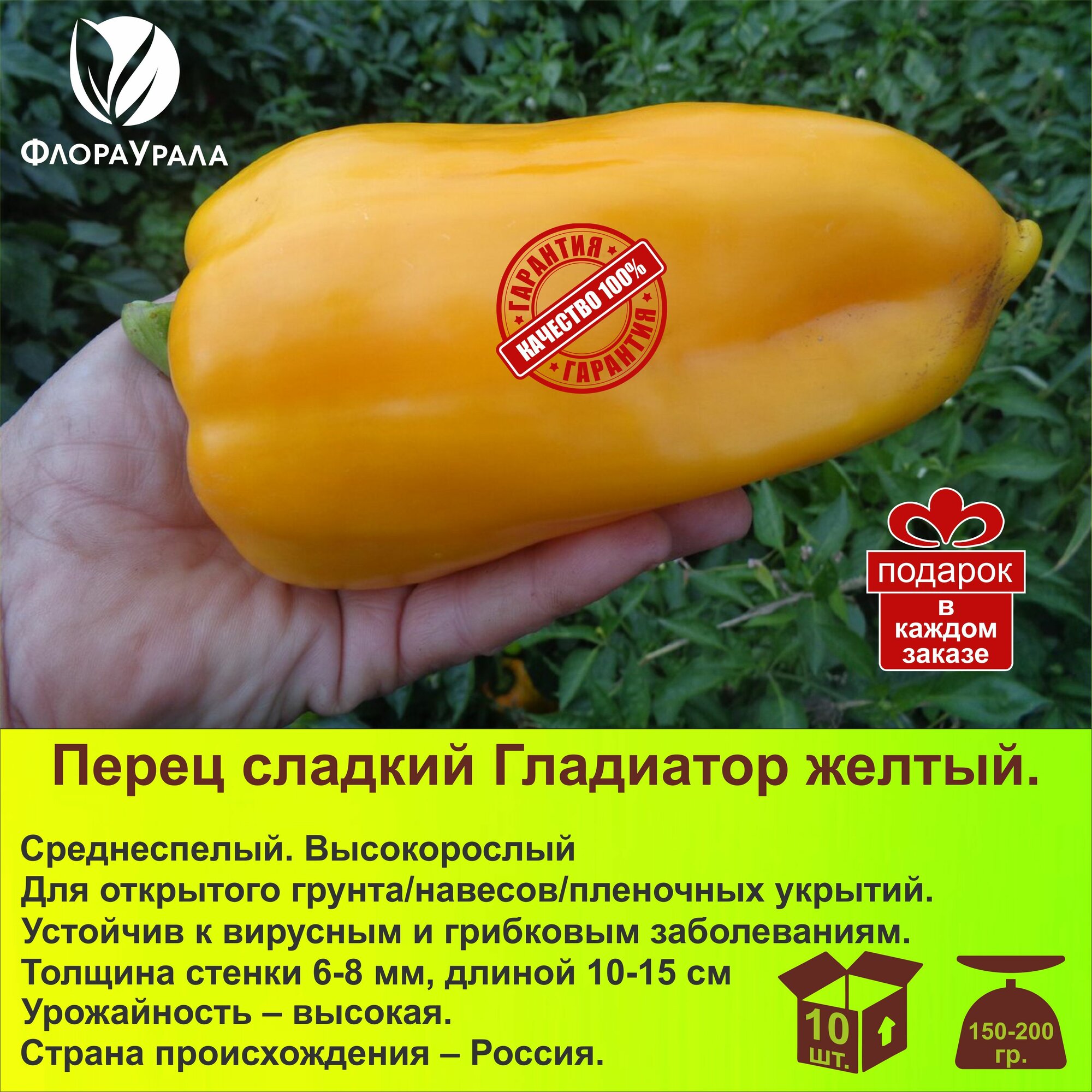 Семена, перец сладкий Гладиатор желтый, коллекционный сорт (семена из частной коллекции), 10 шт+ 1 сорт в подарок