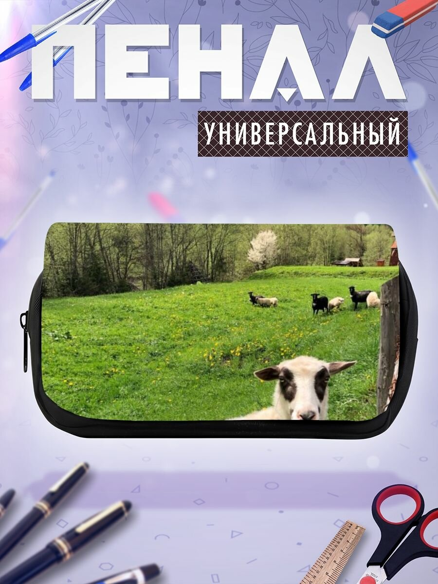 Школьный пенал овца окружающая среда