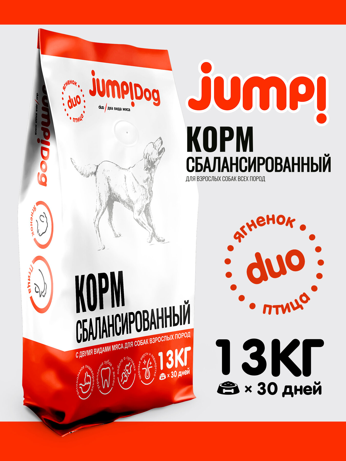 Сухой корм для собак Jump Duo с ягненком и домашней птицей 13 кг
