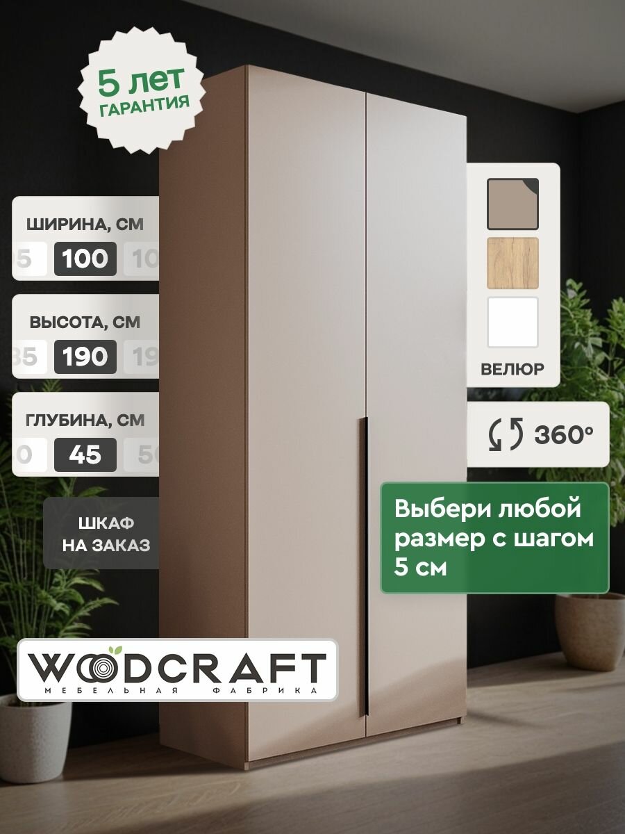 Шкаф для одежды распашной Луас 2.3 100х45х190 см ЛДСП Цвет Велюр