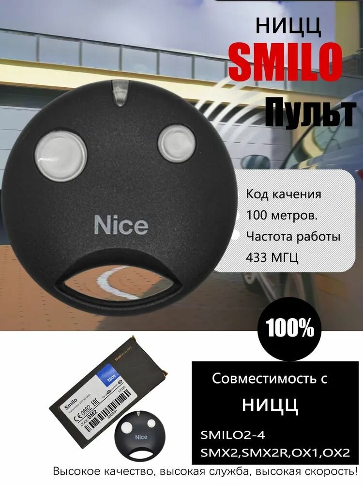 Пульт для ворот и шлагбаума NICE SM2 (SMILO2)