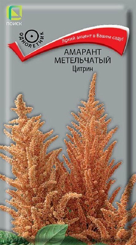 Семена цветов амарант метельчатый Цитрин, для дачи, сада, огорода и на рассаду