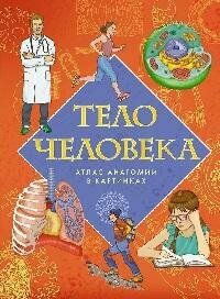 Книга "Тело человека. Атлас анатомии в картинках"