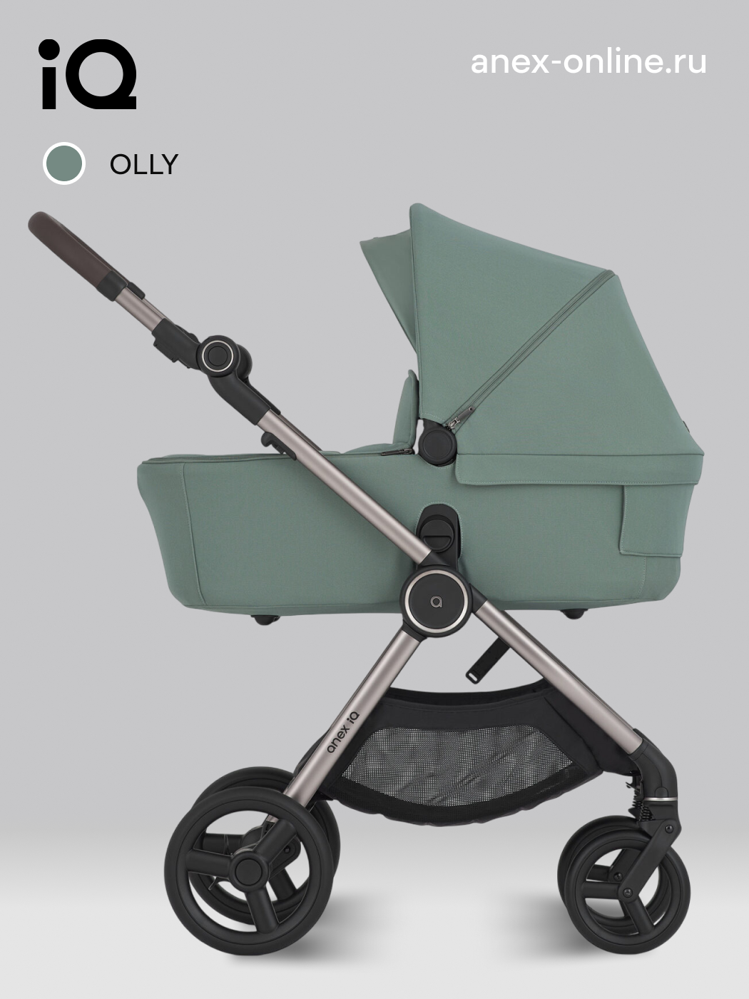 Anex iQ Premium комплект 2в1 + багги, цвете Olly