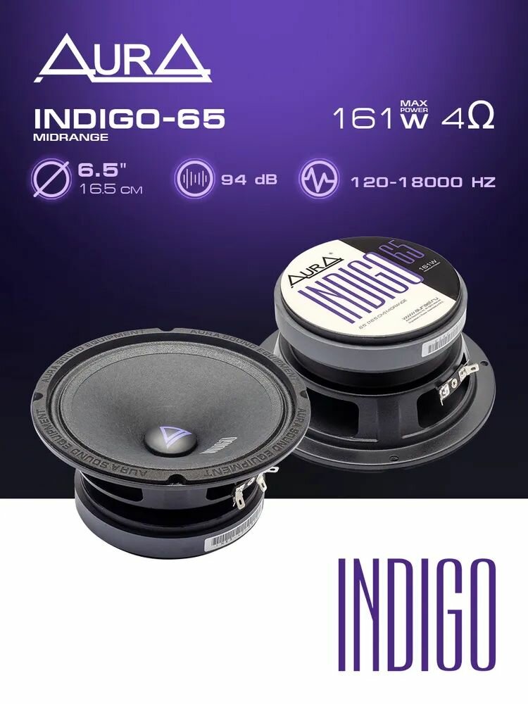Эстрадная акустика AurA INDIGO-65