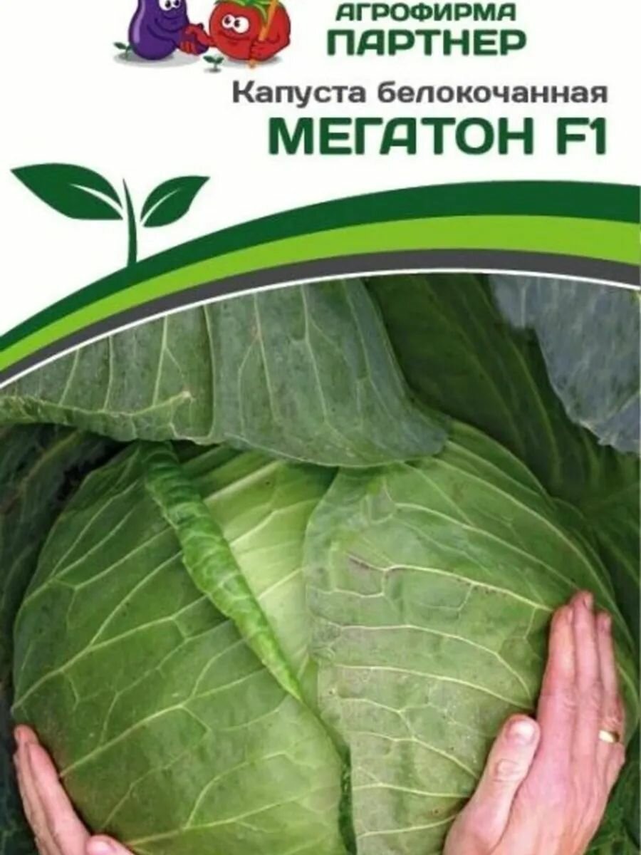 Капуста Мегатон F1 белокочанная среднепоздняя 10 шт. Семена Партнер